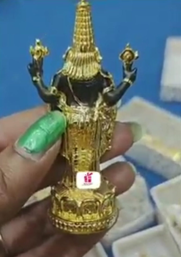 Set of 10 , Gold Plated Lord Balaji Idols For Gifting -CS001LB – www ...