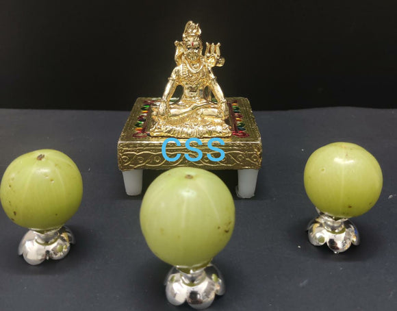LORD SHIVA IDOL WITH STAND AND 3 AMLA DEEPAM OR USIRI DIYAS FOR KARTIK ...